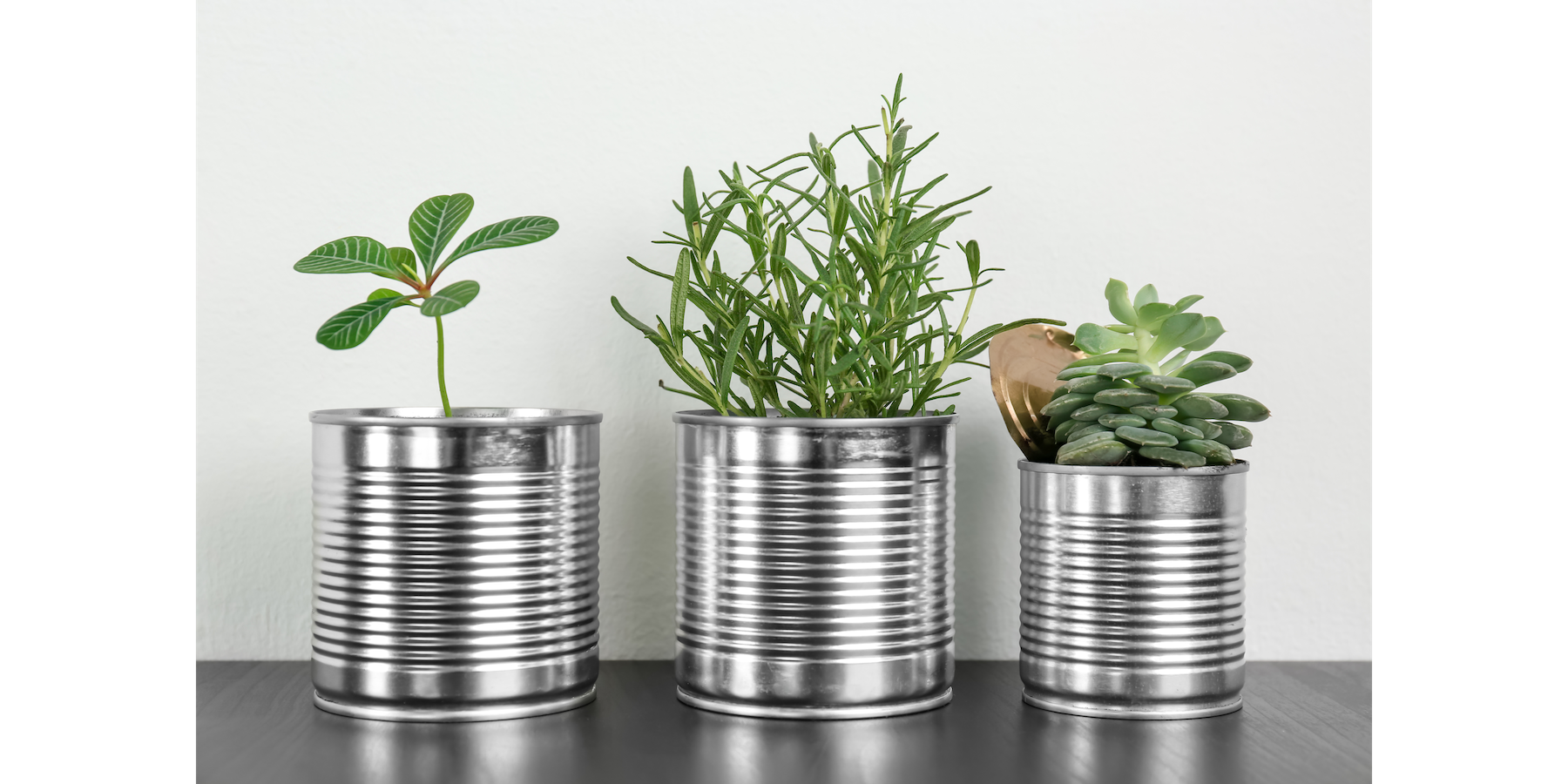 sustainability | Qualityfoil Sarl